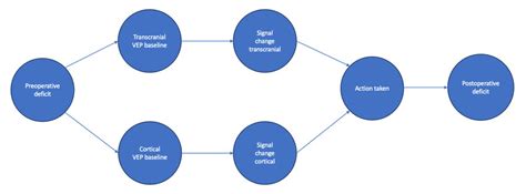 Representation Of The Bayesian Network´s Nodes And Edges Download