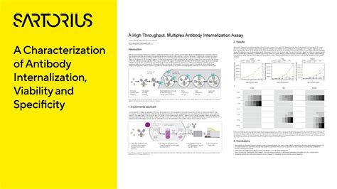 A High Throughput Multiplex Antibody Internalization Assay Youtube