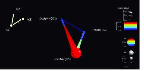 Brain Connectivity Visualization For The Period Window Of 200 600 Ms Download Scientific