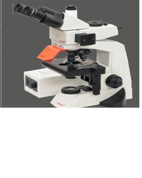 Labomed Fluorescent Microscope Resolution 5mp Magnification 100x At ₹ 90000 Piece In