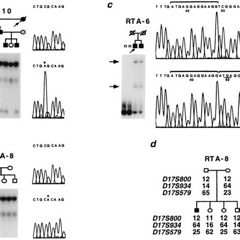 Proton And Bicarbonate Transport In The Alpha Intercalated Cell Of The Download Scientific