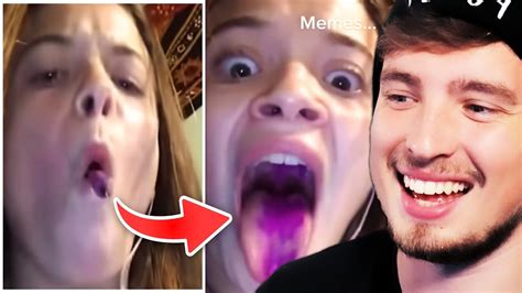 These Memes Are Wild Youtube