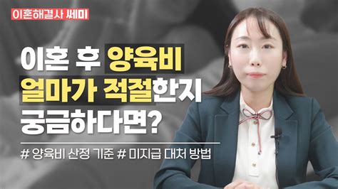 의정부이혼전문변호사 양육비 산정 기준부터 미지급 대처까지 양육비에 대한 궁금증 한번에 정리 이혼해결사 쎄미 Ep2 Youtube