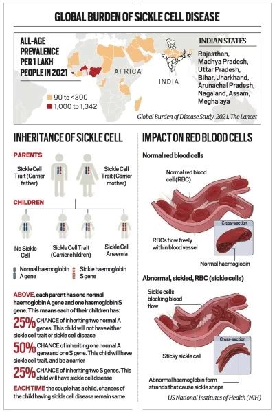 Casgevy Therapy For Sickle Cell Disease And Thalassaemia