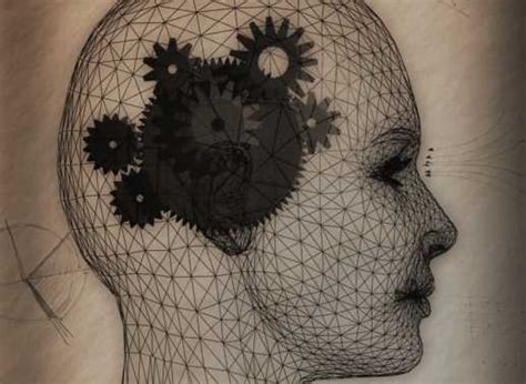 Top 10 Datos Sobre Lo Que Ocurre En Nuestra Mente Durante El Sexo Ejutv