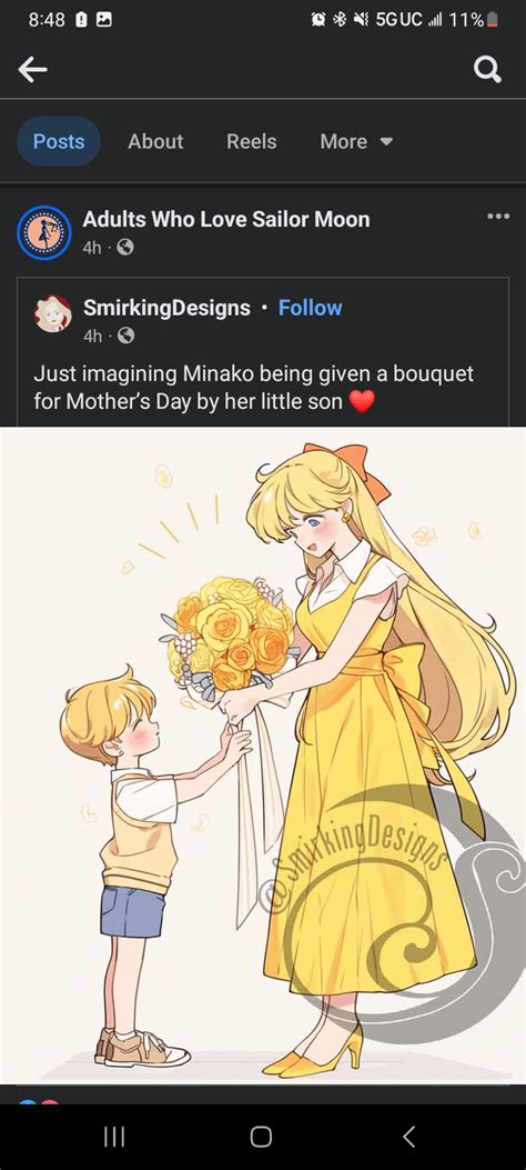 Found Wholesome Sailor Scout Mother Day Art On Facebook Rsailormoon