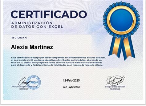 Dataanalisis Excel Alexia Martínez