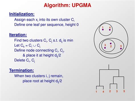 Ppt 6096 Lecture 9 Powerpoint Presentation Free Download Id3860898