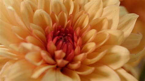 I Juander Ijuander Newstv • Instagram Photos And Videos