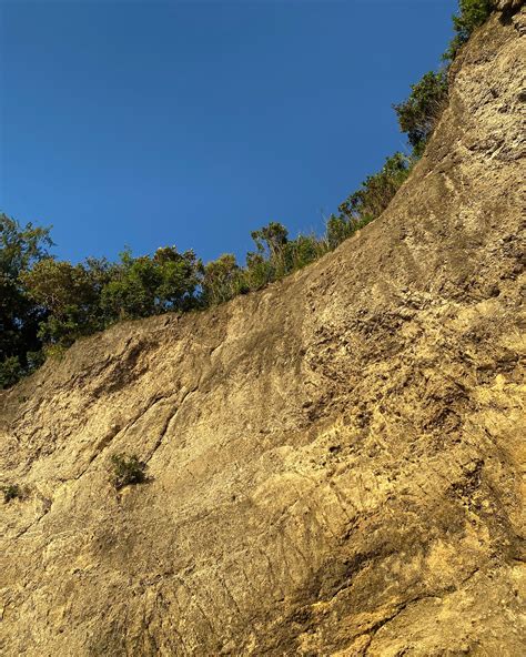 Cydney 🫨🐚 Instagram