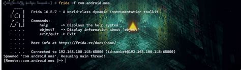frida spawn超时问题解决 r0yanx s blog