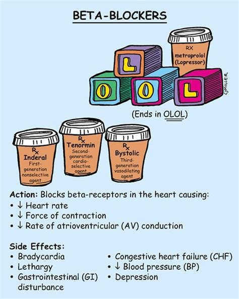 Beta Blockers Lol Diagram Quizlet