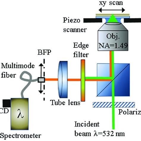 Bfp Scanning Fluorescence Microscope The Sample Is Scanned