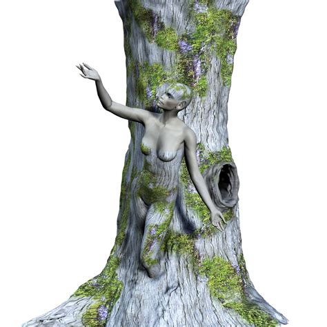 Download Tree Nature Wood Royalty Free Stock Illustration Image Pixabay