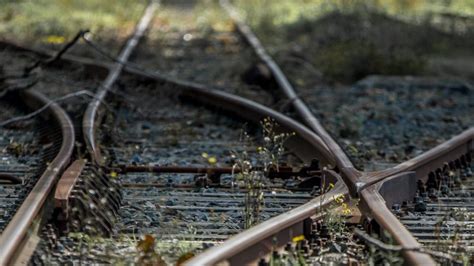 Dysfunction Junction Blog Insights Stephanie Bown