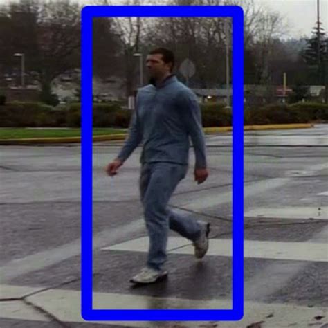 Pedestrian Dataset Kaggle