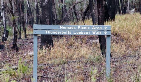 Thunderbolts Lookout Walking Track Nsw National Parks