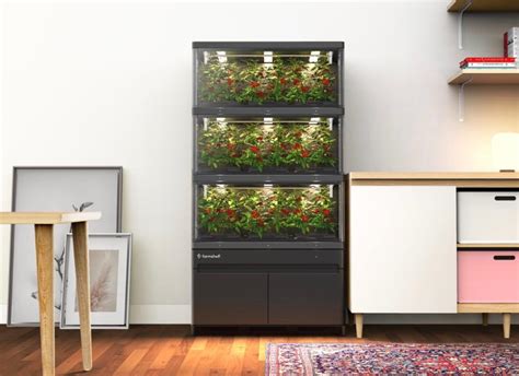 Devon Heath Polidoro Posted On Linkedin