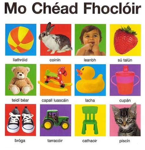 Mo Chead Focloir Irish Edition 9780717158072 Roger