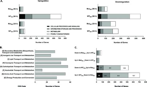 functional categorization of degs the microarray data were divided