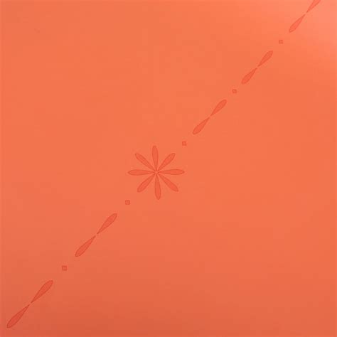 Easyoga Breathin Space Pro Mat O1 Orange Yogaaum