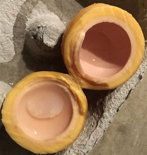 Lash Eggs Salpingitis Or Egg Lash Disease In Chickens Cluckin