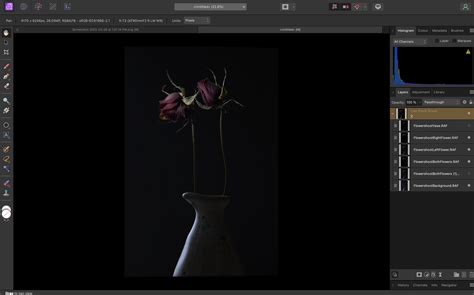 stack affinity on desktop questions macos and windows affinity