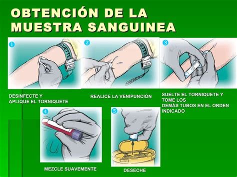 Toma De Muestra Sanguinea Ppt