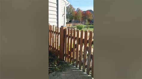 Prune Y Linpiesa Youtube