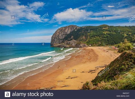 🔥 29 Biosphere Background Wallpapersafari