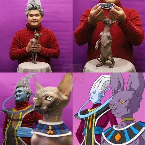 Dragon Ball Un Gato Y Un Creativo Cosplayer Protagonizan Este Trabajo