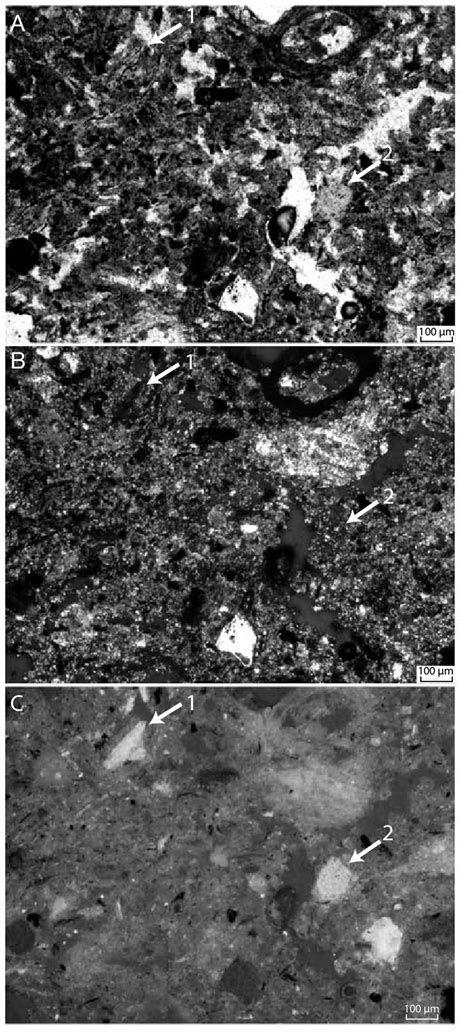 Microphotographs Of Phosphate Containing Particles In The Layered K 4