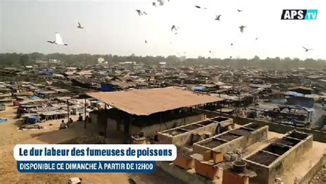 Assane Dème Posted On Linkedin