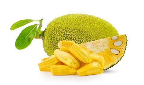 Jackfruit With Isolated On White Stock Image Image Of Slice Isolated 172042163