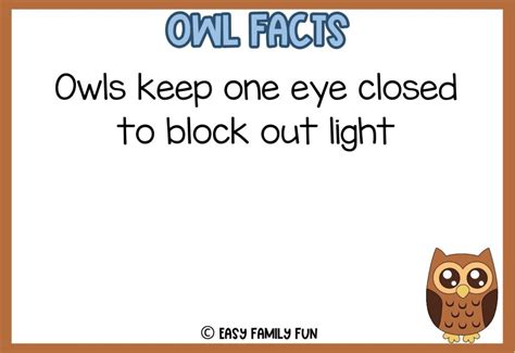 87 Fascinating Facts About Owls