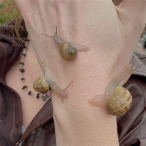 900 Board What The Hell Board Ideas In 2025