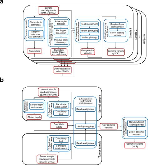 Strelka2 Variant Calling Workflows Strelka2 Supports Detection Of