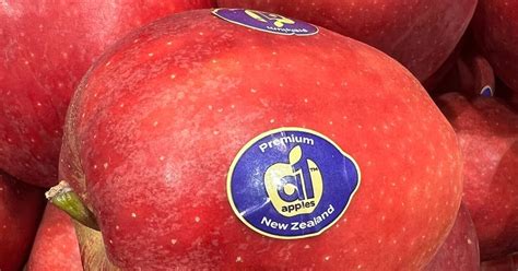 New Zealand Apple Industry Hails ‘best Season In Long Time News