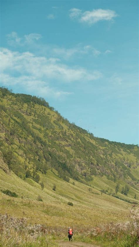 A Person Is Walking On A Path In A Grassy Field Stock Image Image Of