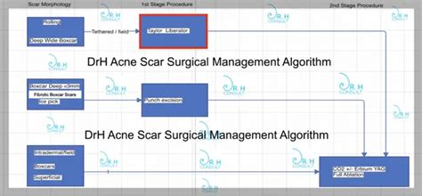 Taylor Liberator Subcision