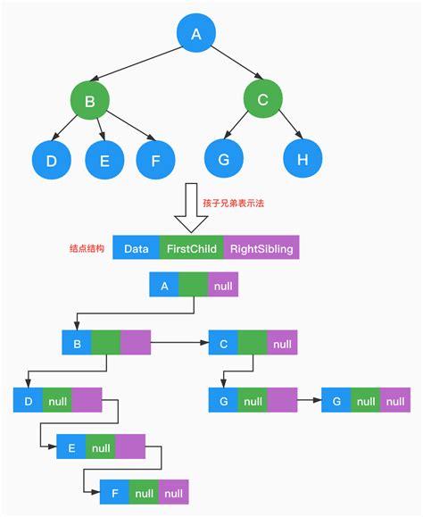 【数据结构】树树的孩子兄弟表示法 Csdn博客