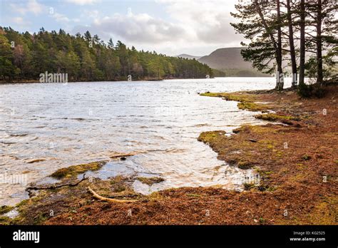 Loch An Eilein And The Rothiemurchus Forest Aviemore Cairngorms
