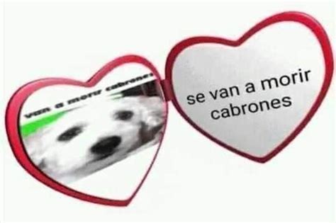 Sopa De Makako 🙀🤙🏻 Coca De Jamaica Wattpad