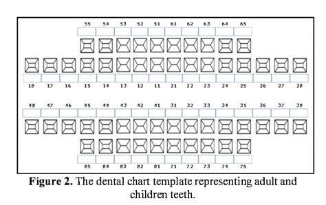 Dental Charting Surfaces Diagram Quizlet