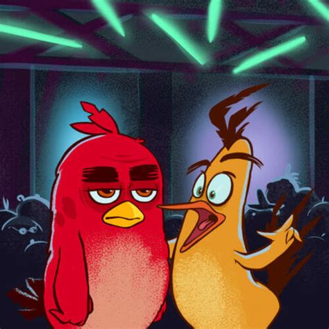 Angry Birds Memes Angry Birds