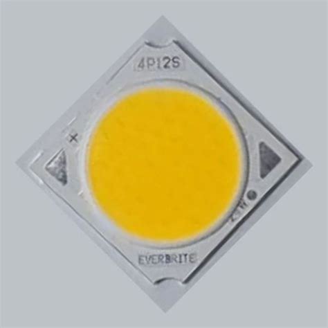 5w Everbrite Cob Led Chip 120 Lumen At ₹ 12 00 Piece In New Delhi Id 2853526548491