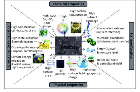 Physicochemical Properties Of Biochar Download Scientific Diagram