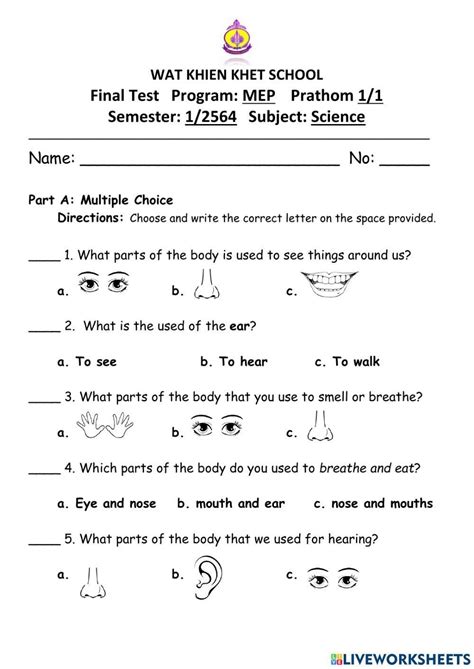 Grade 1 Pre Assessment Worksheet Artofit