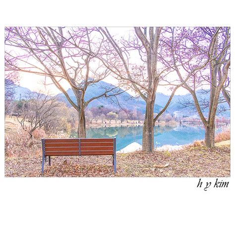 호수 이 형권 미루나무 창가에서