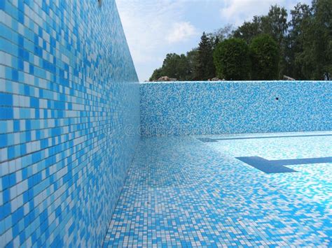 Swimming Pool Without Water Stock Image Image Of Forest Level 1605473